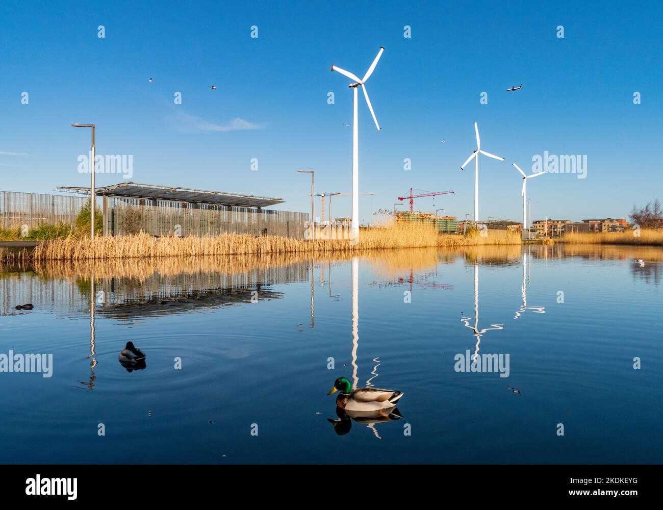Father collins park hi-res stock photography and images - Alamy