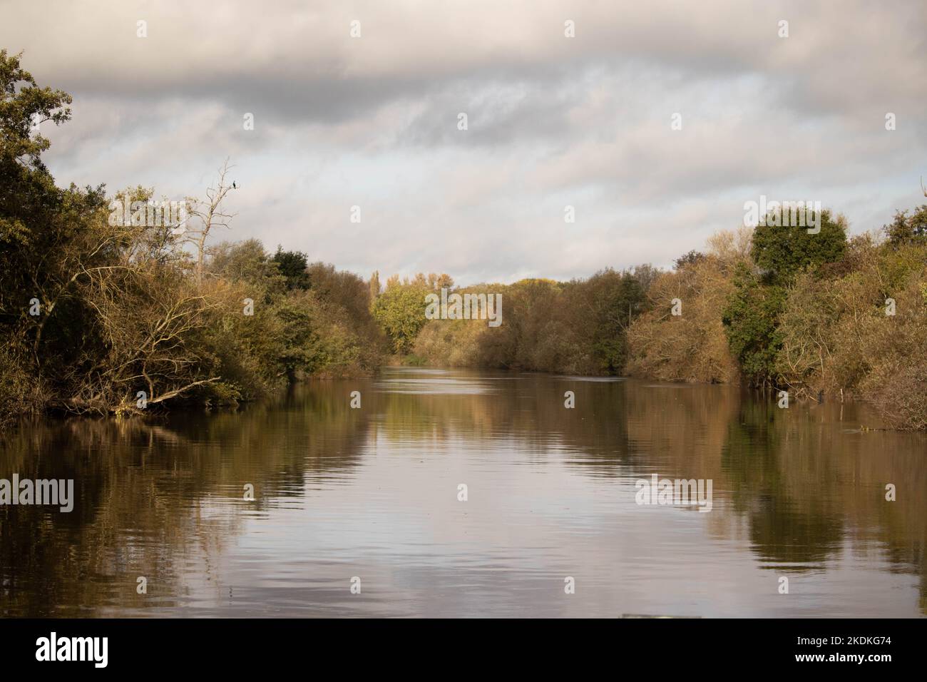 Autumnal view down a tree lined river Stock Photo - Alamy