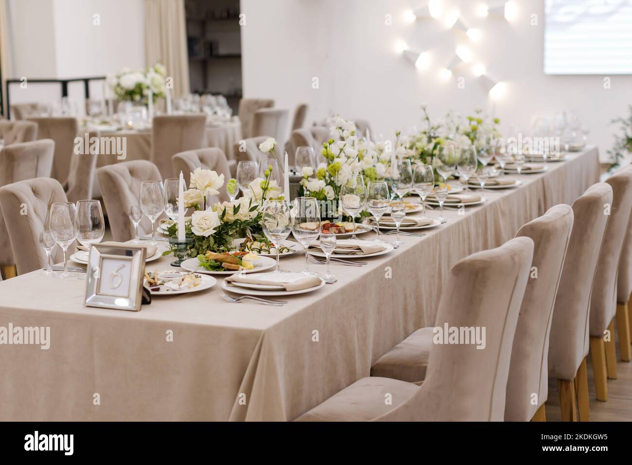 Tables setting at a luxury wedding. Table for guests. Dishes and drinks ...