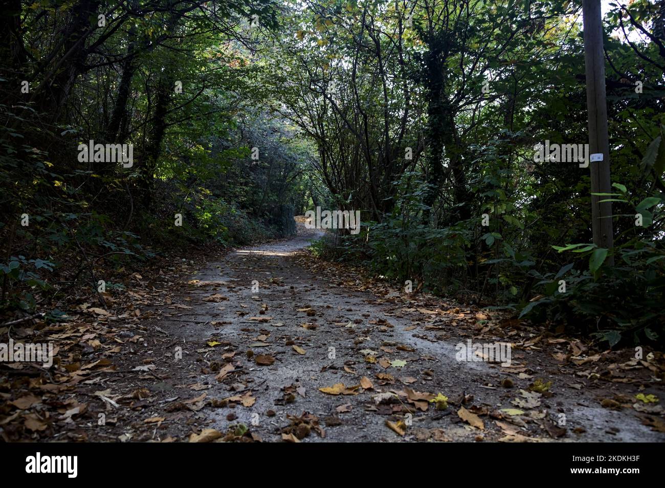 Tranquiltree hi-res stock photography and images - Alamy