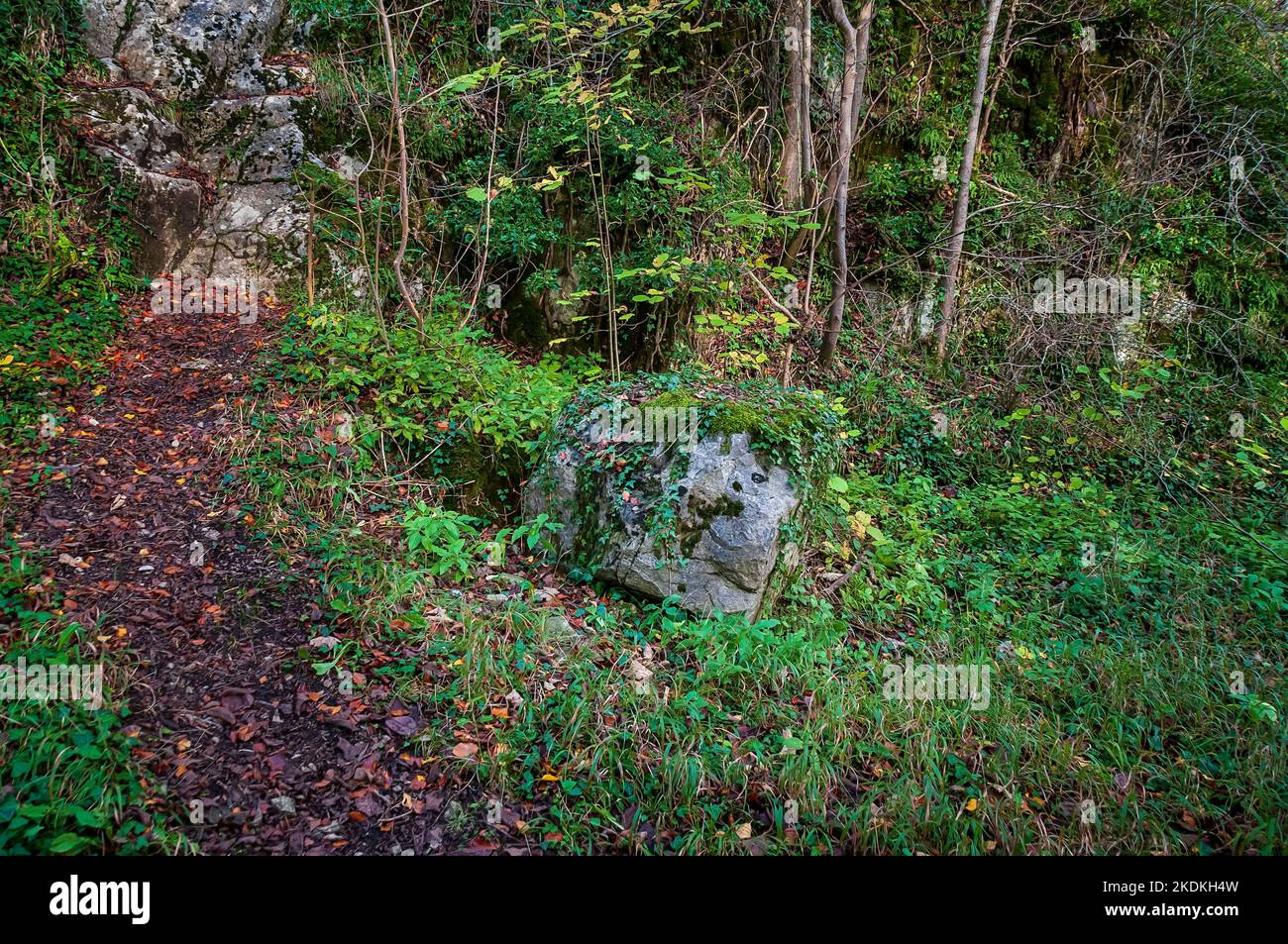 Large overgrown boulder at the base of limestone cliffs, partly ...