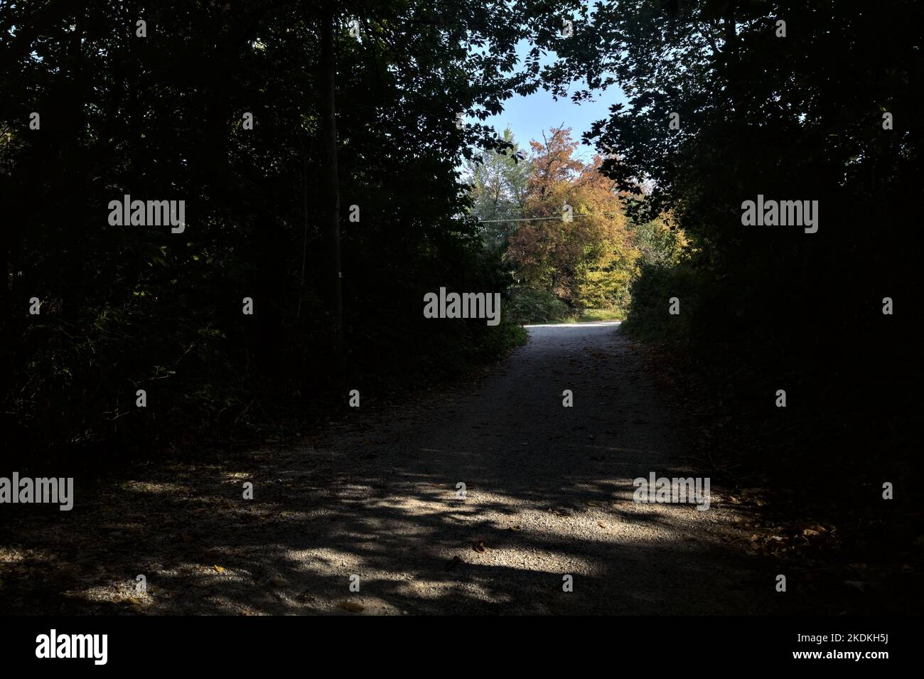 Road in the shade with trees framing trees lit by the sun Stock Photo ...