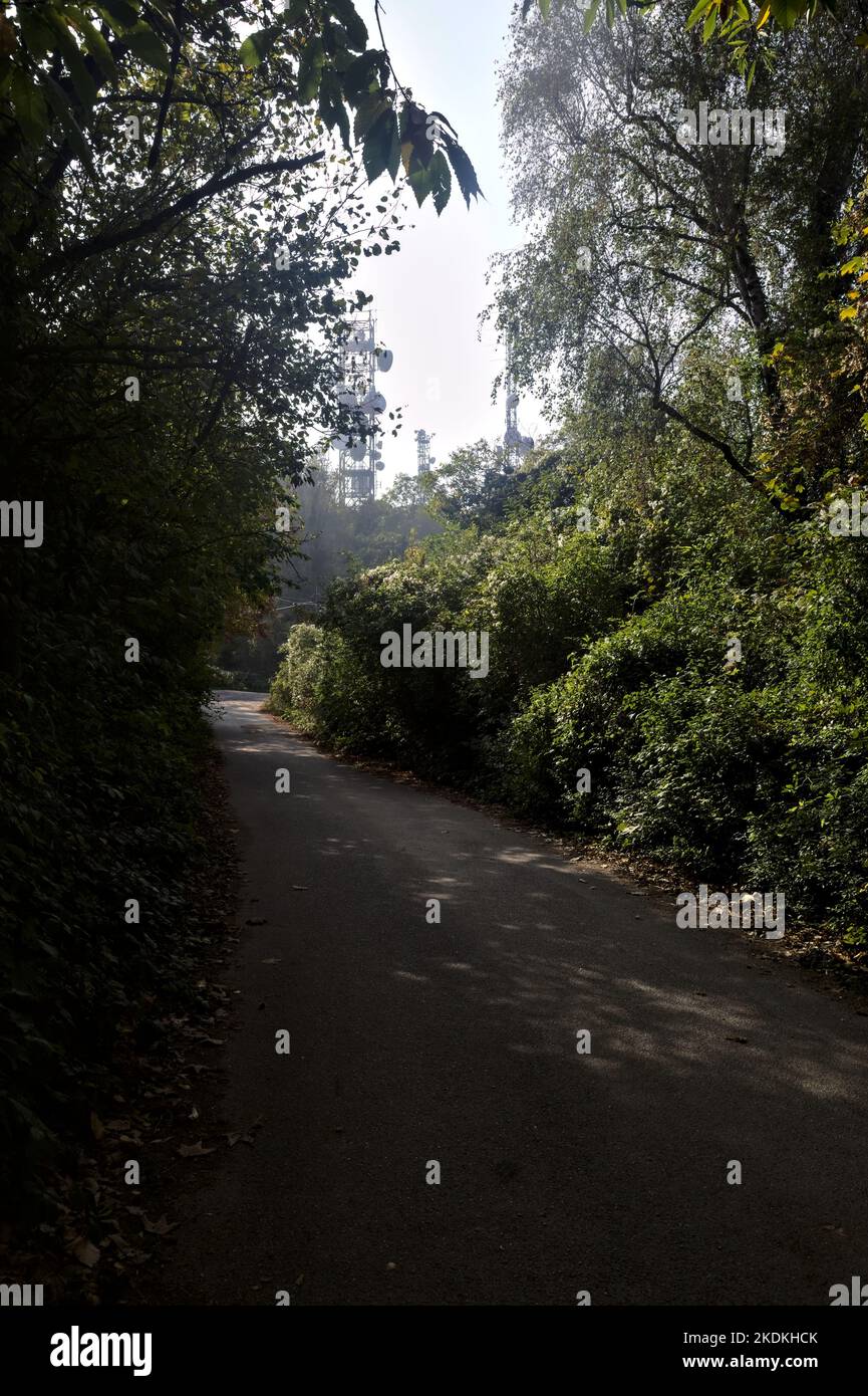 Road in the shade in a forest with trees framing antennas in the ...