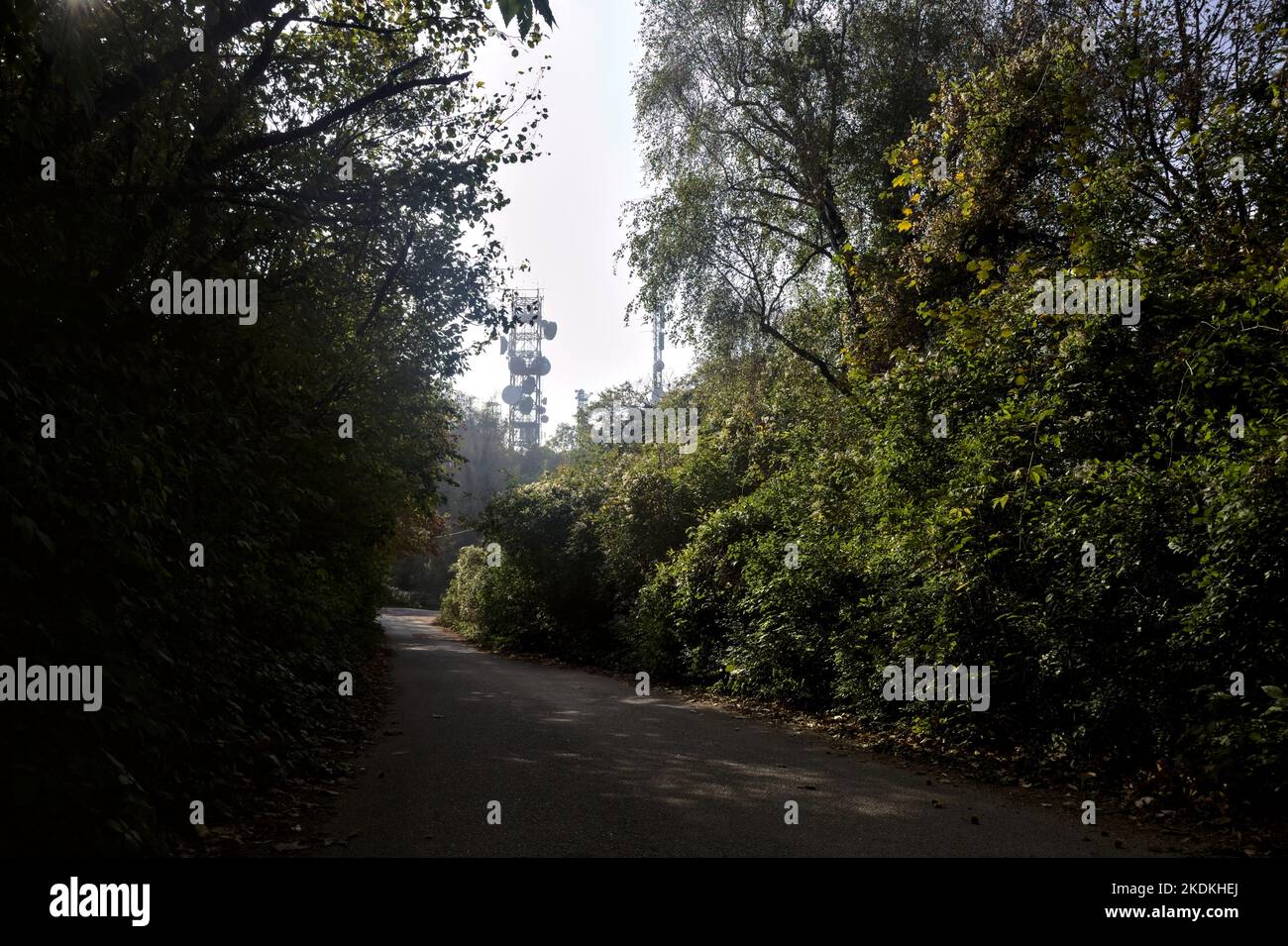 Road in the shade in a forest with trees framing antennas in the ...