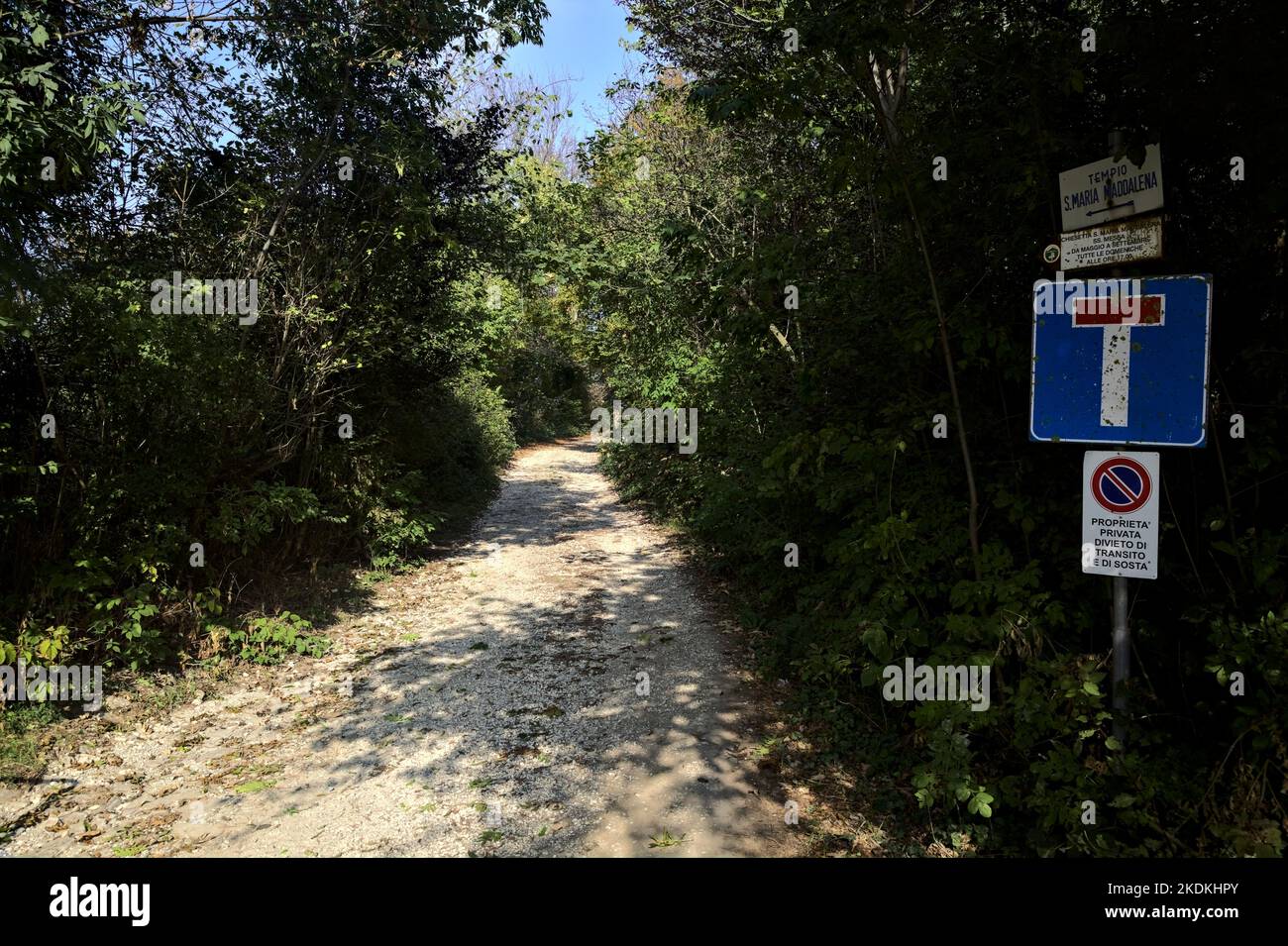 Dirt path in a grove with a sign by its edge Stock Photo - Alamy