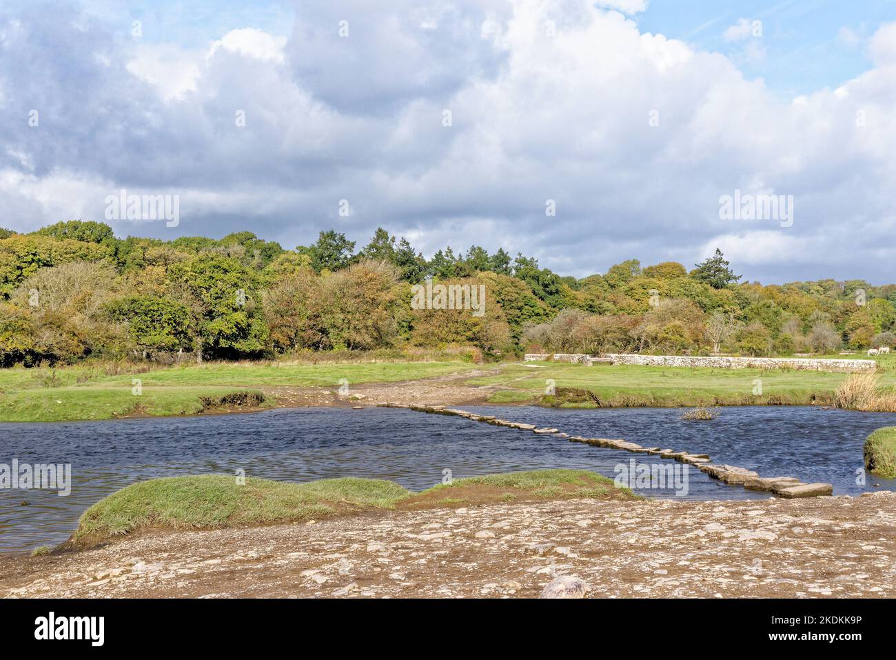Old stepping stones to cross Ewenny River at Ogmore Castle. Ogmore by ...