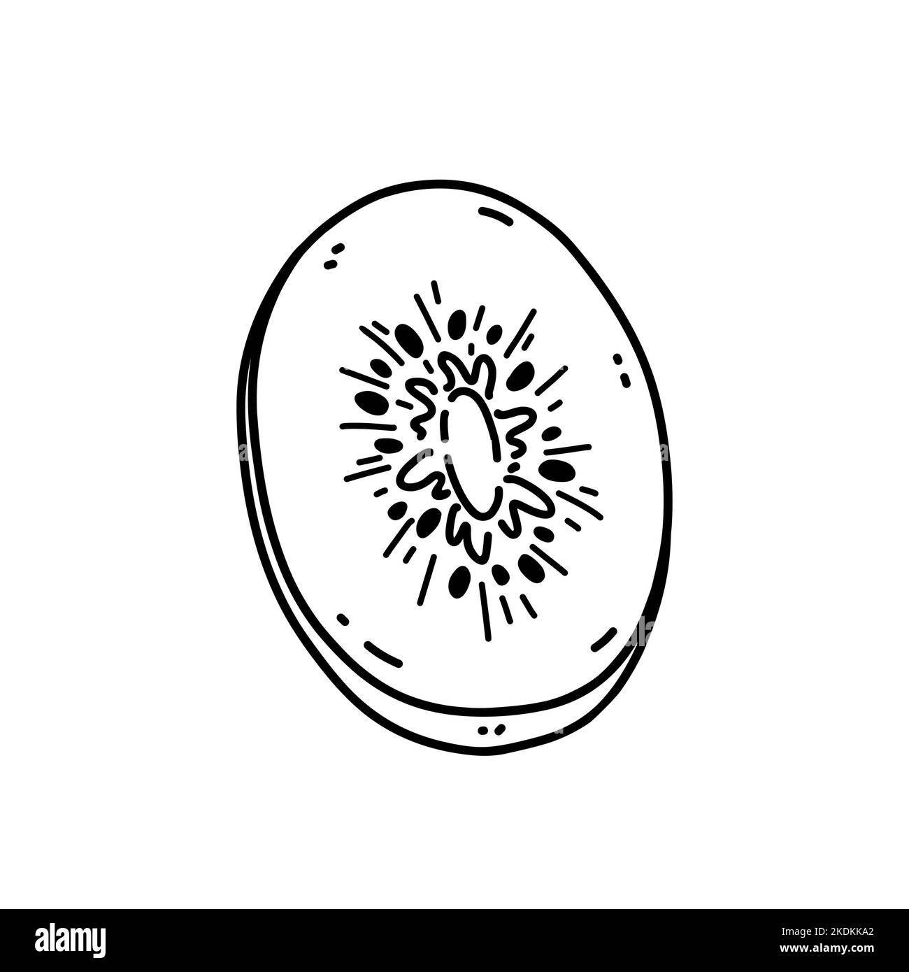 Half kiwi fruit isolated on white background. Organic healthy food ...