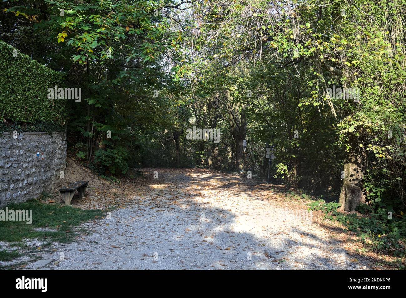 Dirt road in a forest with a stone wall and a bench by its edge Stock ...