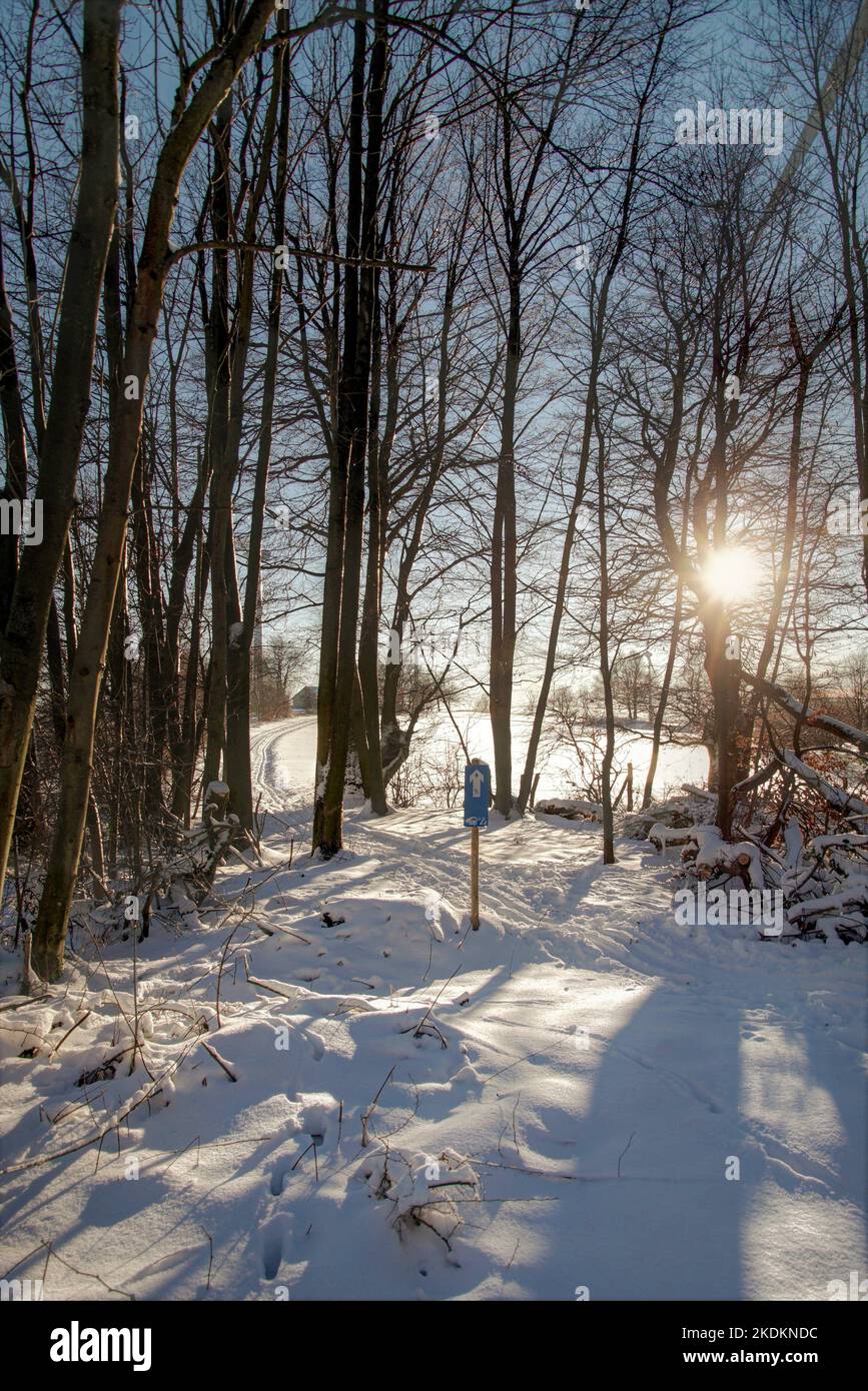 Ode wald kreis hi-res stock photography and images - Alamy
