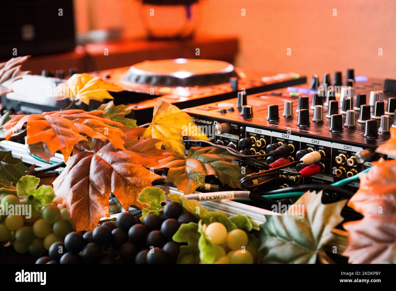 DJ equipment with grapes and leaves at a wine tasting event with moody ...