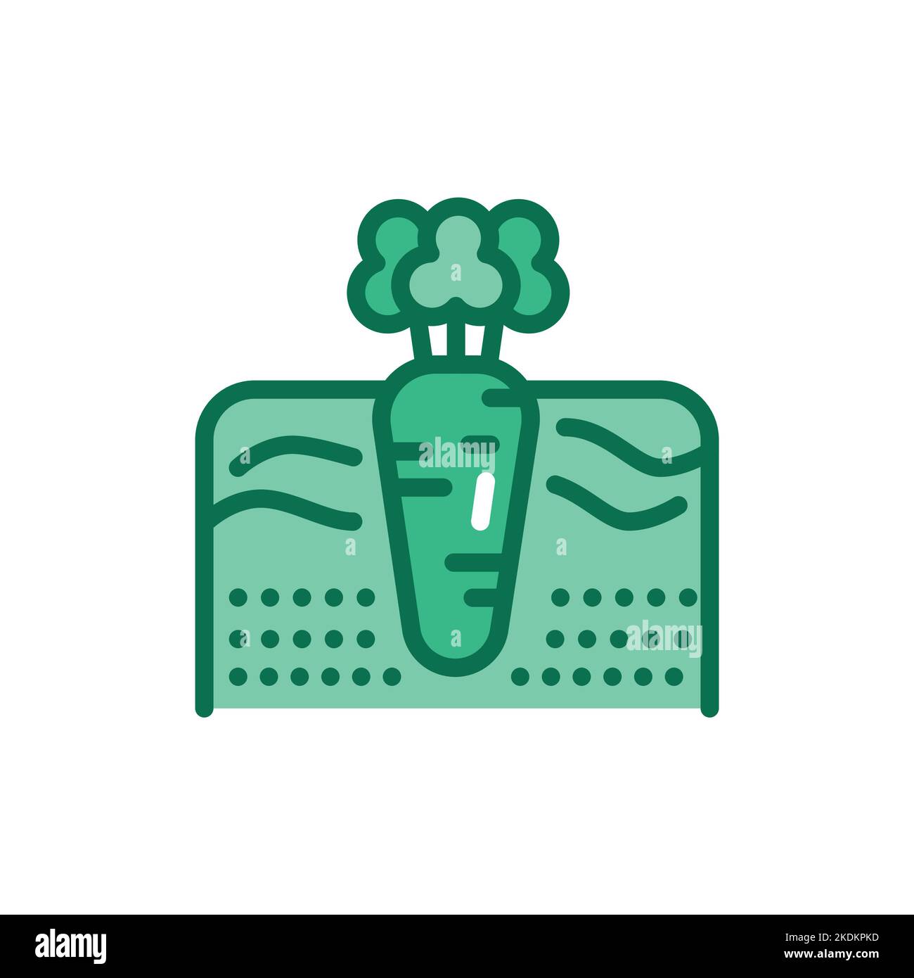 Carrot growing soil Stock Vector Images - Alamy