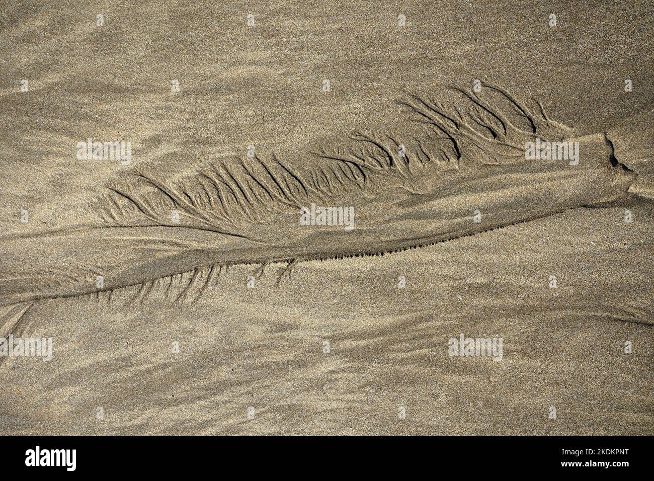 Patterns at the seaside Stock Photo - Alamy