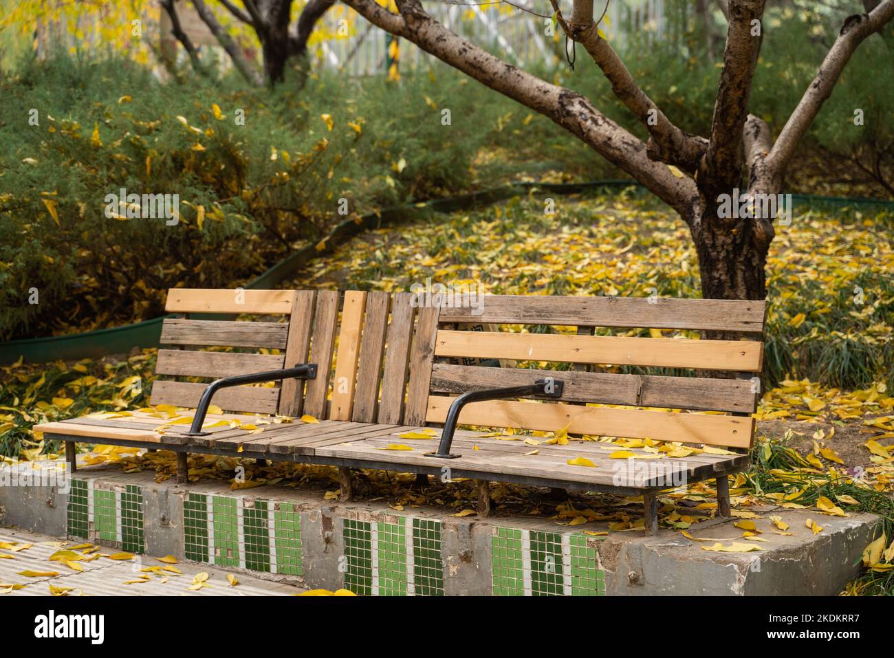 a bench in autumn park Stock Photo - Alamy