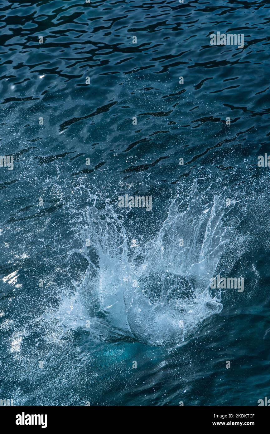 Wake an splashing caused by youth jumping into sea water from hieght ...