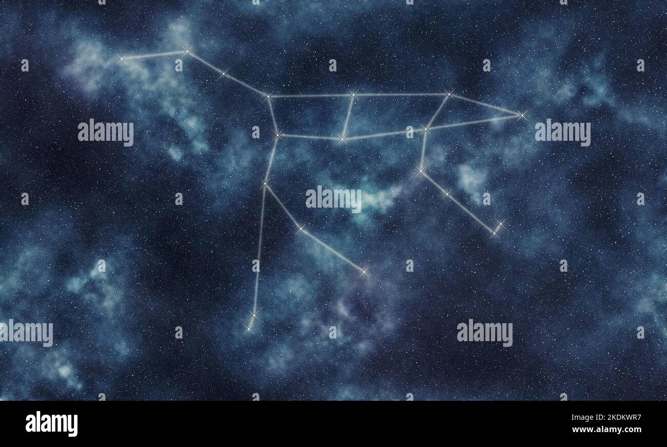Ursa Major Star Constellation, Night Sky, Constellation Lines Great ...