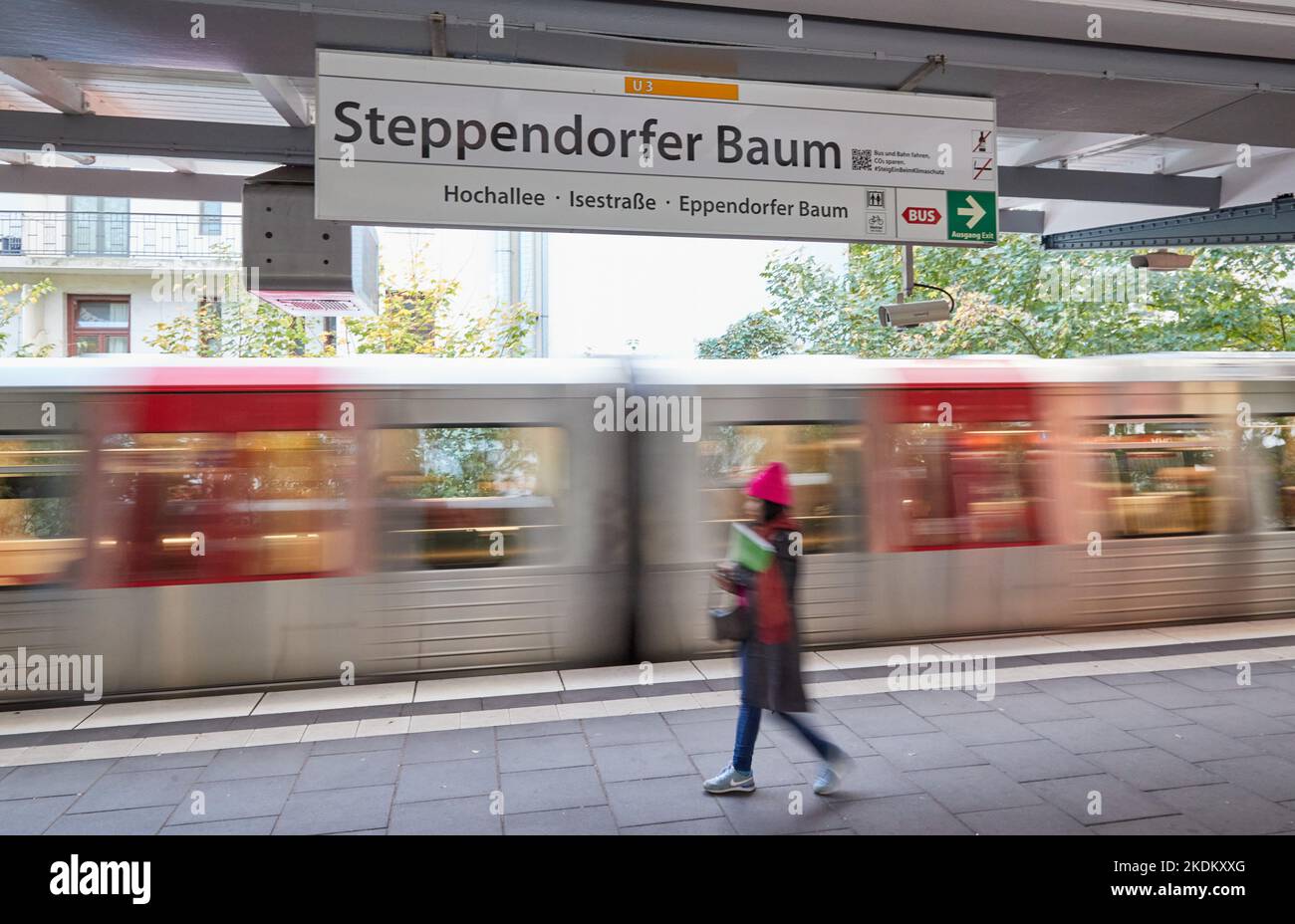 Hamburg, Germany. 07th Nov, 2022. A sign reading "Steppendorfer Baum ...