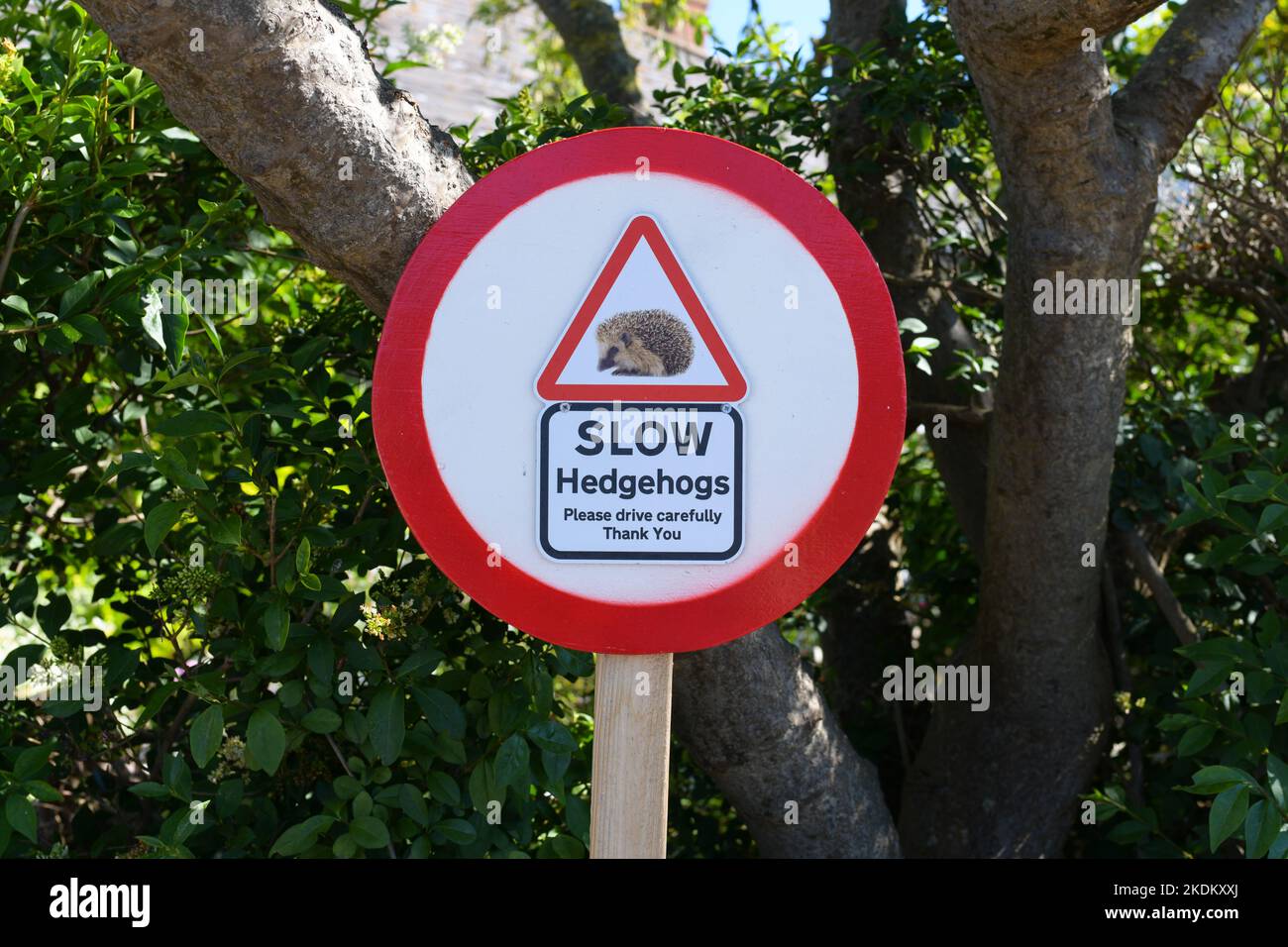Please slow hi-res stock photography and images - Alamy