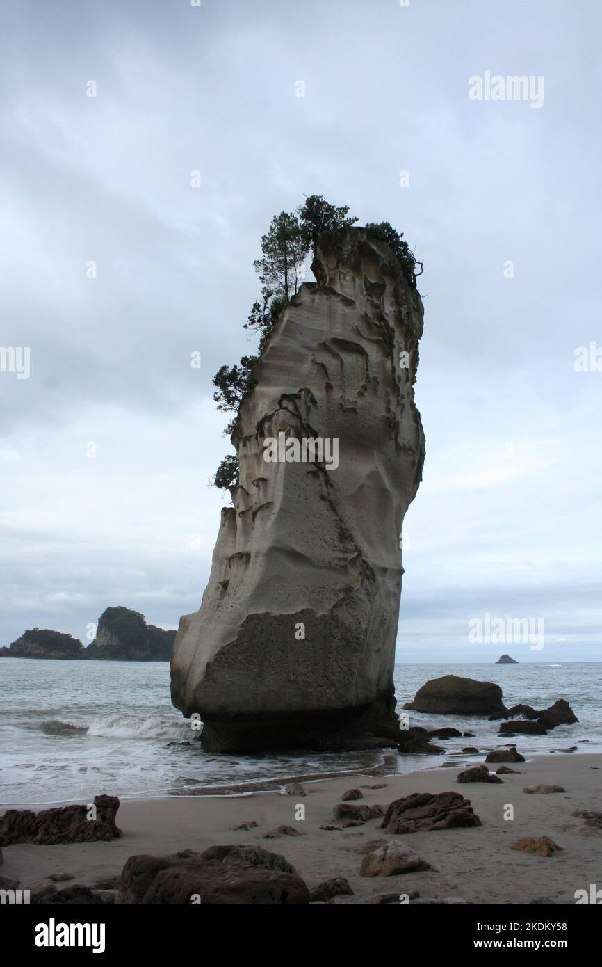 Te Hoho Rock at Catherdral Cove Marine Reserve Stock Photo - Alamy