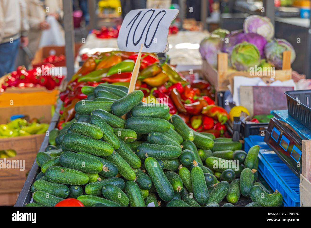 Fresh Green Cucumbers Vegetables With Price Tag at Farmers Market Stock ...
