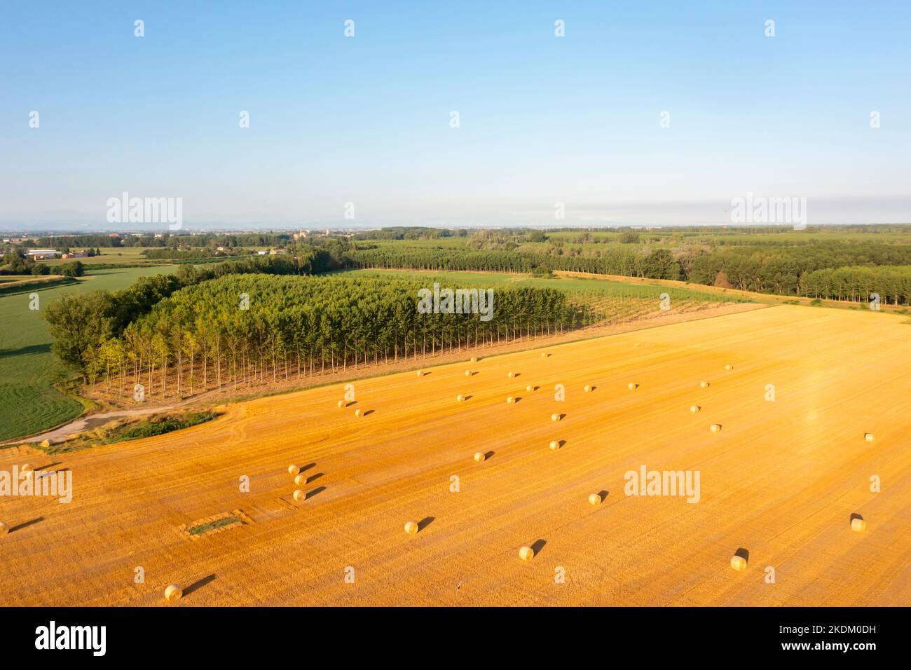 Hay rolls in field forest hi-res stock photography and images - Alamy