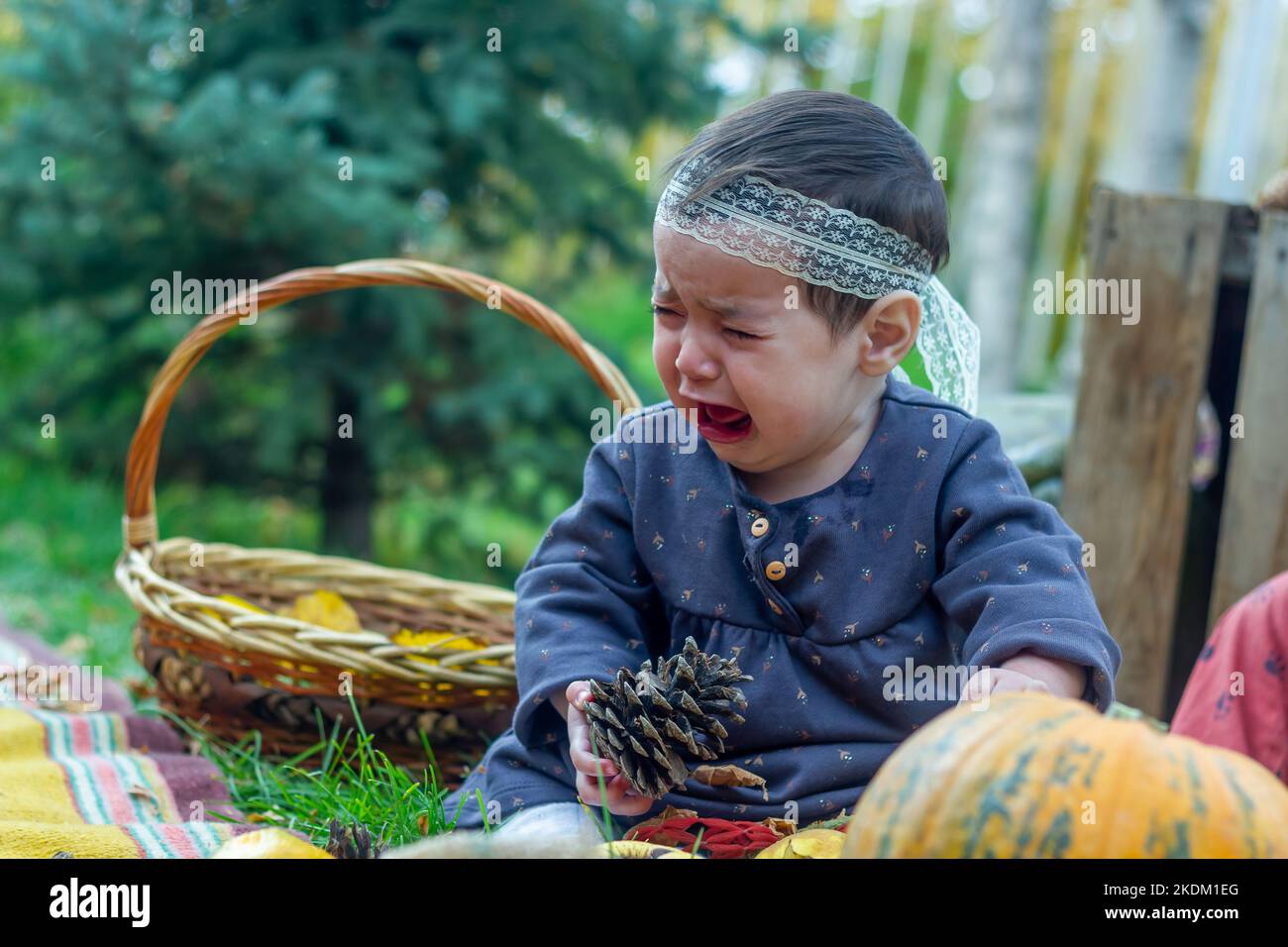 little girl is crying in the autumn park, baby girl in the park Stock ...