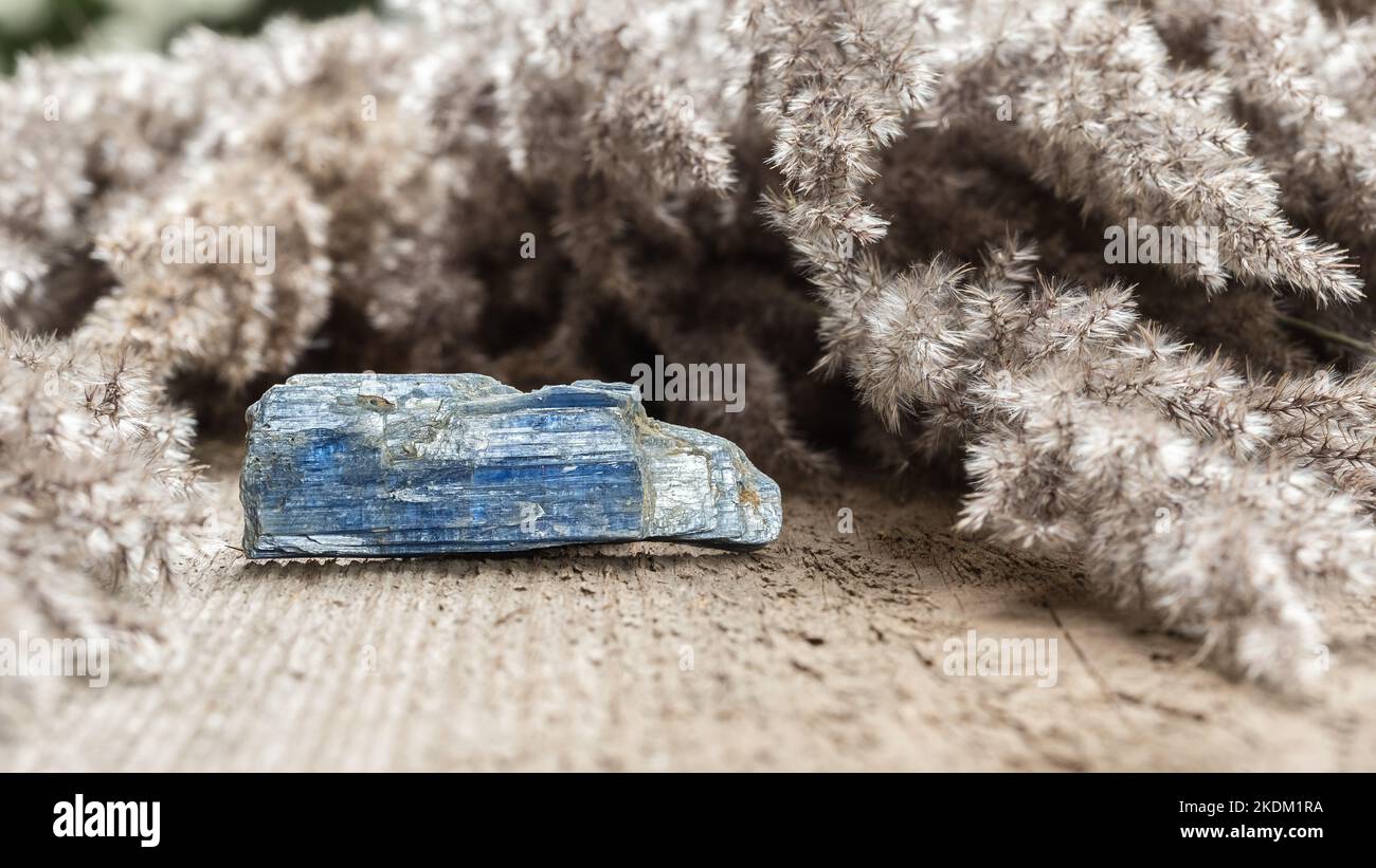 Blue Kyanite Blade or Disthene or Cyanite Raw Mineral Stone on Wooden ...