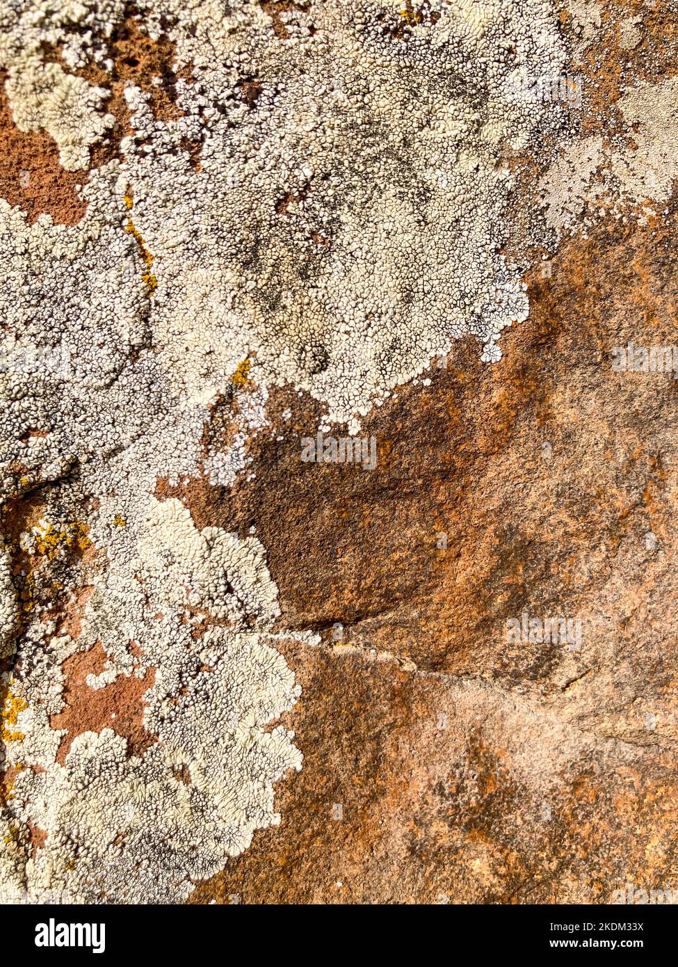 Rough stone texture, stone surfaces seamless texture Stock Photo - Alamy