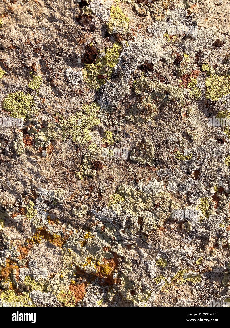 Rough stone texture, stone surfaces seamless texture Stock Photo - Alamy Rough stone texture, stone surfaces seamless texture Stock Photo - Alamy
