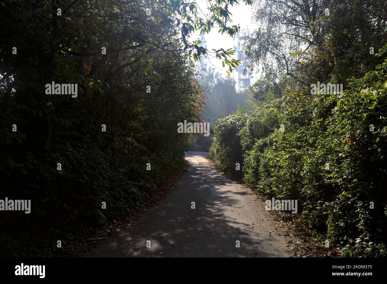 Road in the shade in a forest with trees framing antennas in the ...