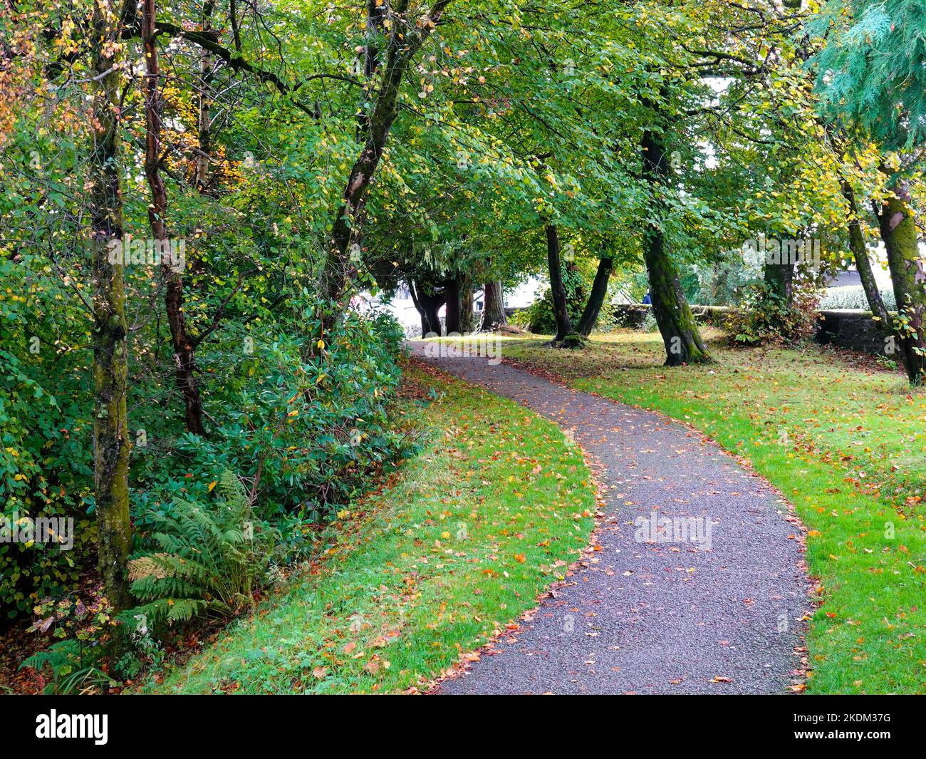 Empty path through public park, Milton Burn Gardens, in autumn, Dunoon ...