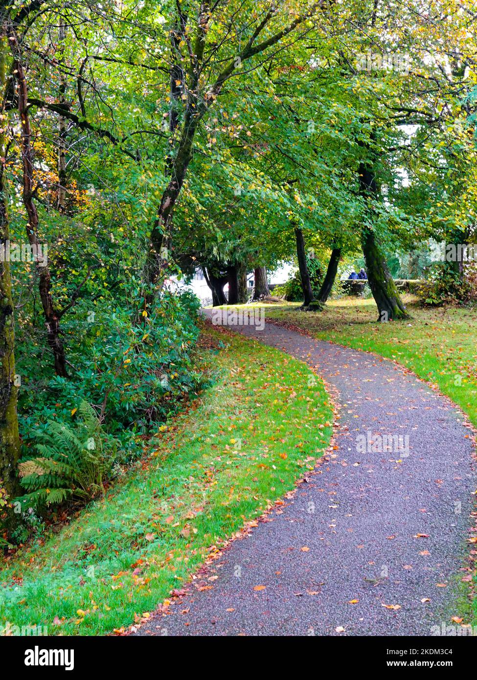 Empty path through public park, Milton Burn Gardens, in autumn, Dunoon ...
