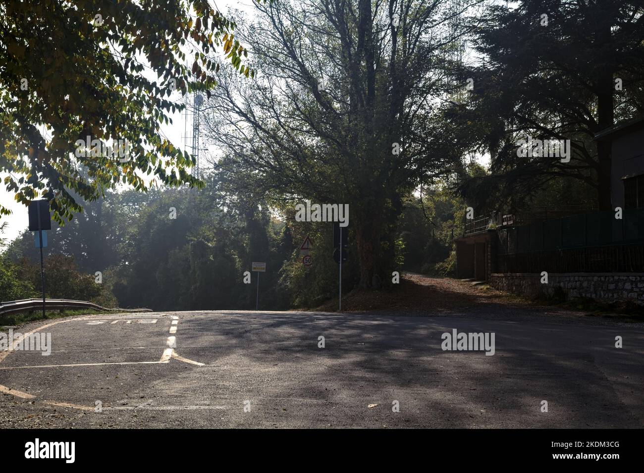 Fork between a road and a dirt path in a forest on the top of a ...