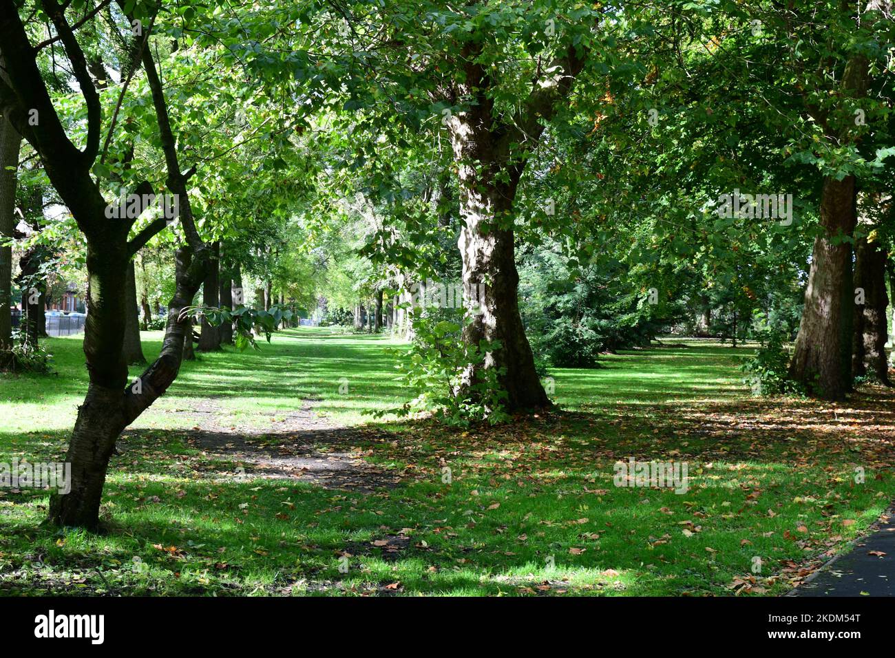Whitworth Park, Manchester Stock Photo - Alamy