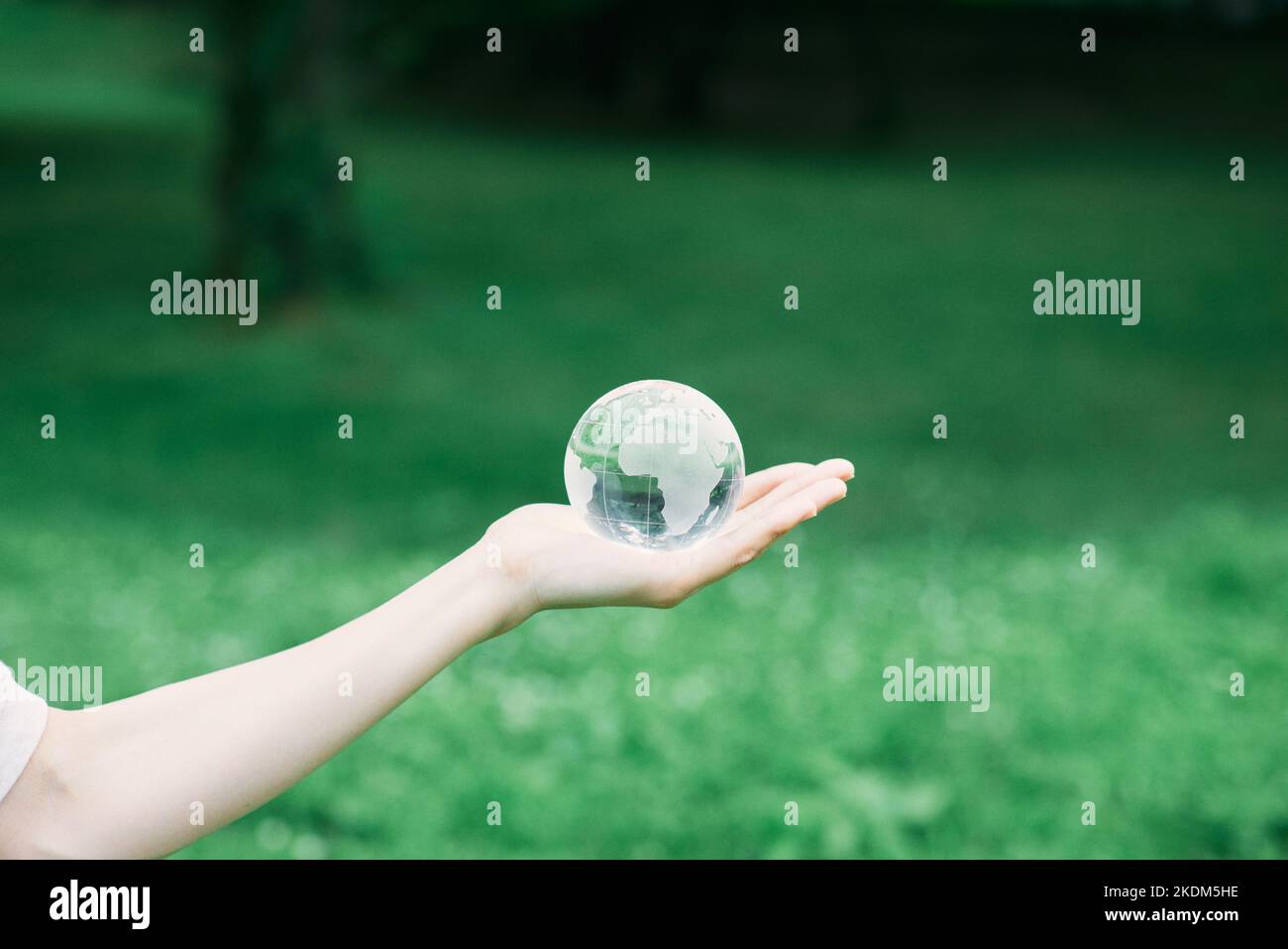 Environmental protection image sdgs hi-res stock photography and images ...