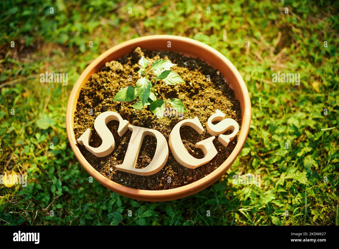 Sdgs hi-res stock photography and images - Alamy