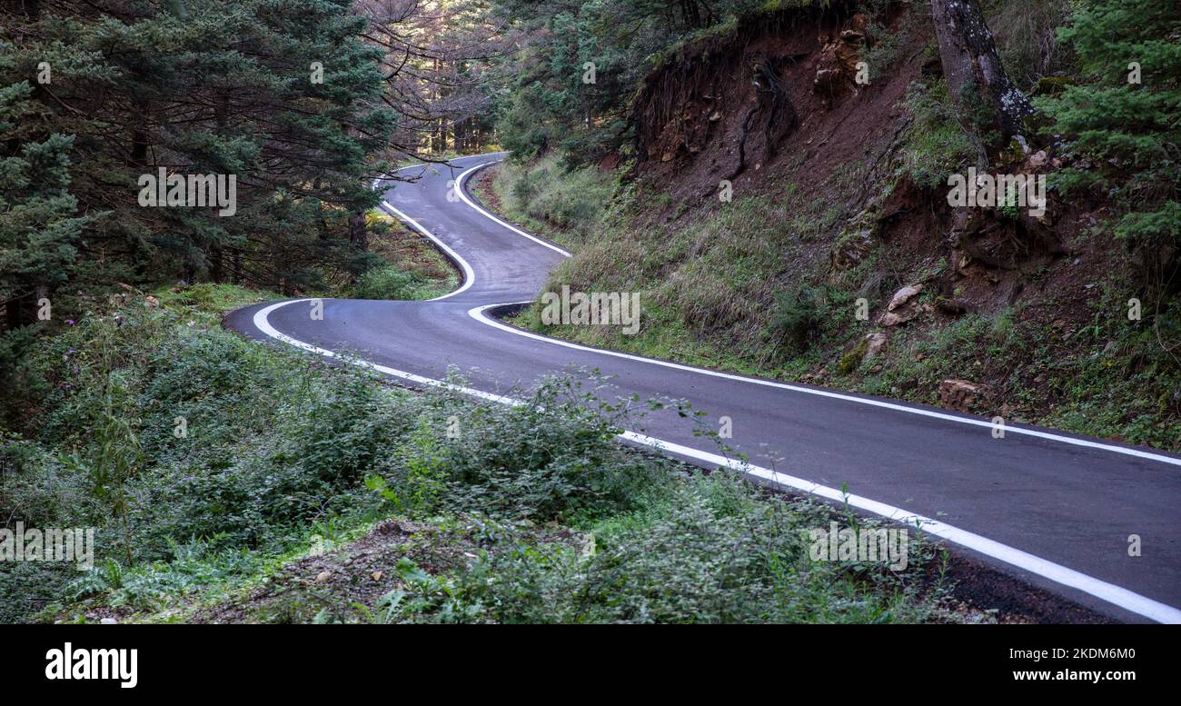 Winding road crossing fir forest. Empty asphalt route, Travel in Europe ...