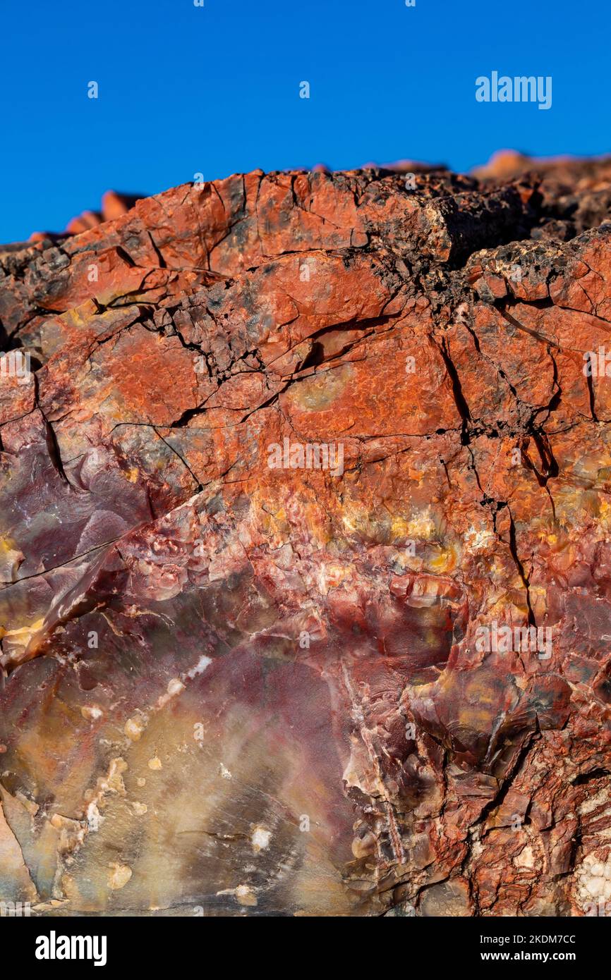Triassic trail hi-res stock photography and images - Alamy