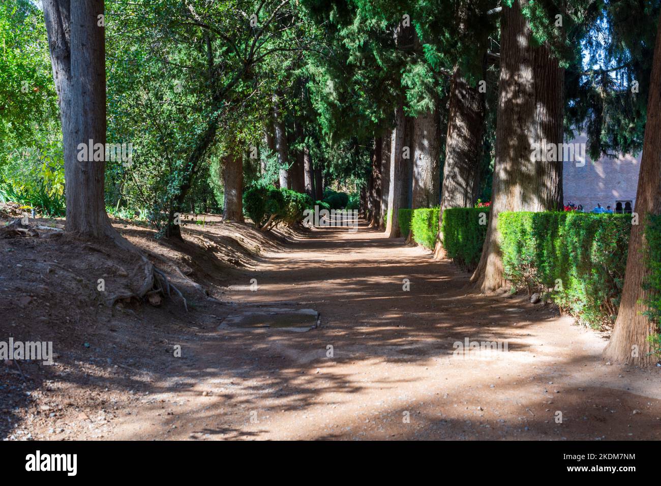 Pathway within a natural park landscape Stock Photo - Alamy