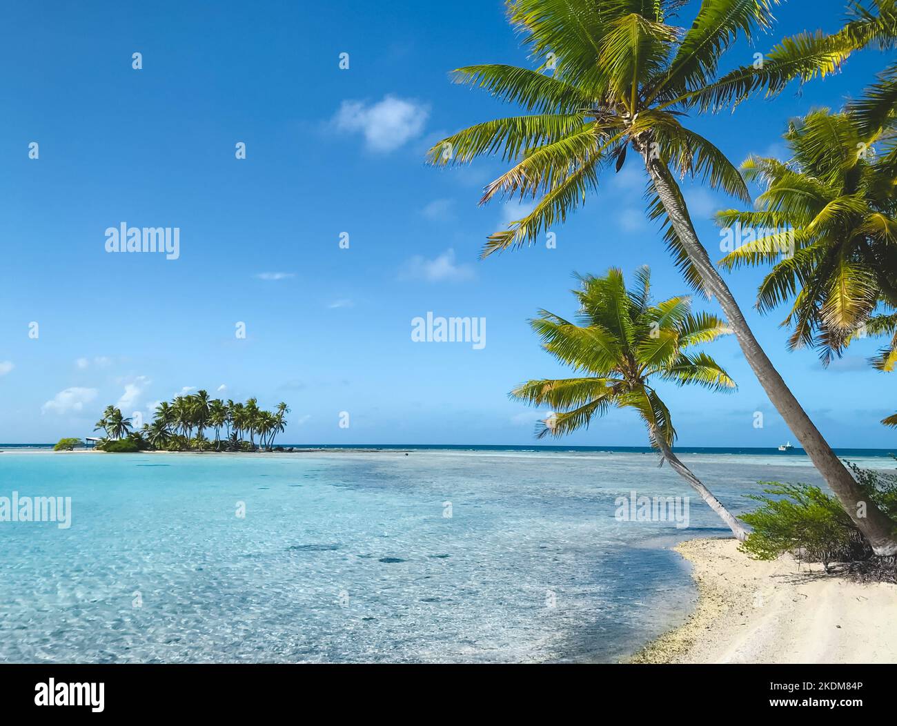 Seychelles tropical island beach with palm trees, sand beach and ...