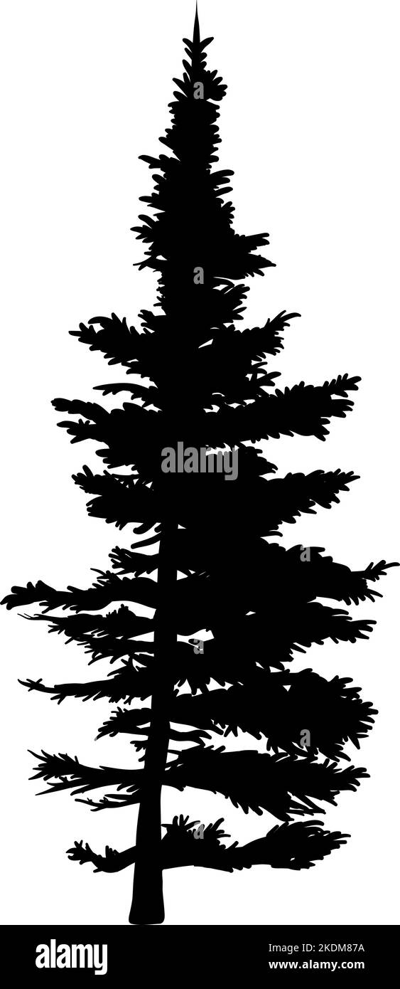 Silhouette of fir tree. Detailed silhouette for making different ...
