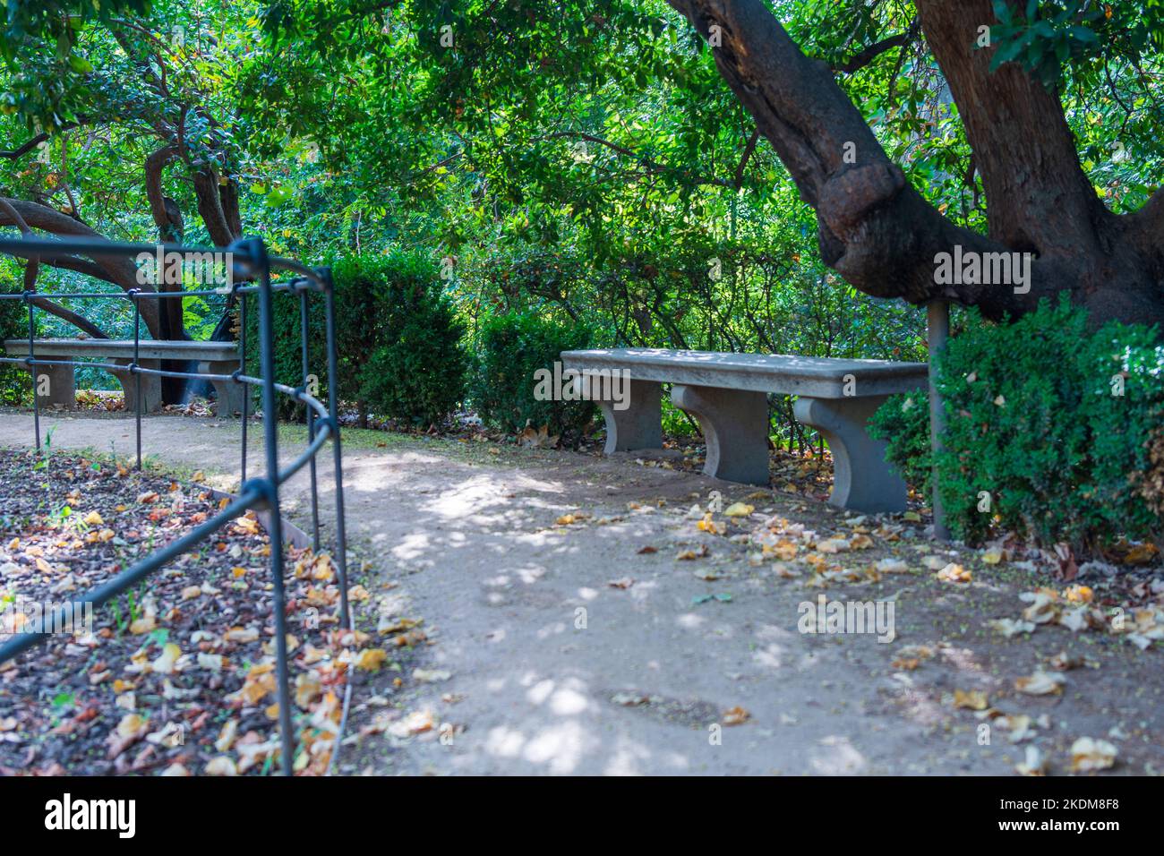 Idyllic park scene with a park bench next to a walking path Stock Photo ...