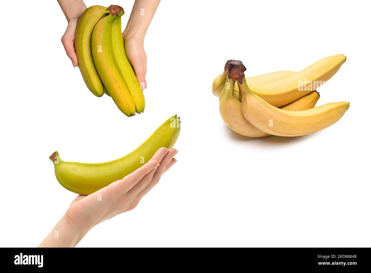 A bunch of bananas in woman hand isolated on a white background Stock ...