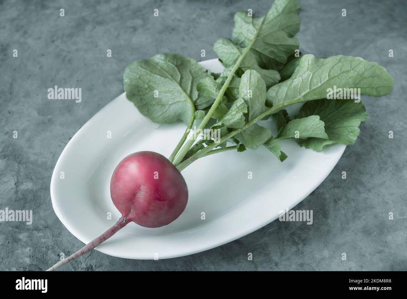 Fresh radish with green leaves on the table in a white ceramic plate ...