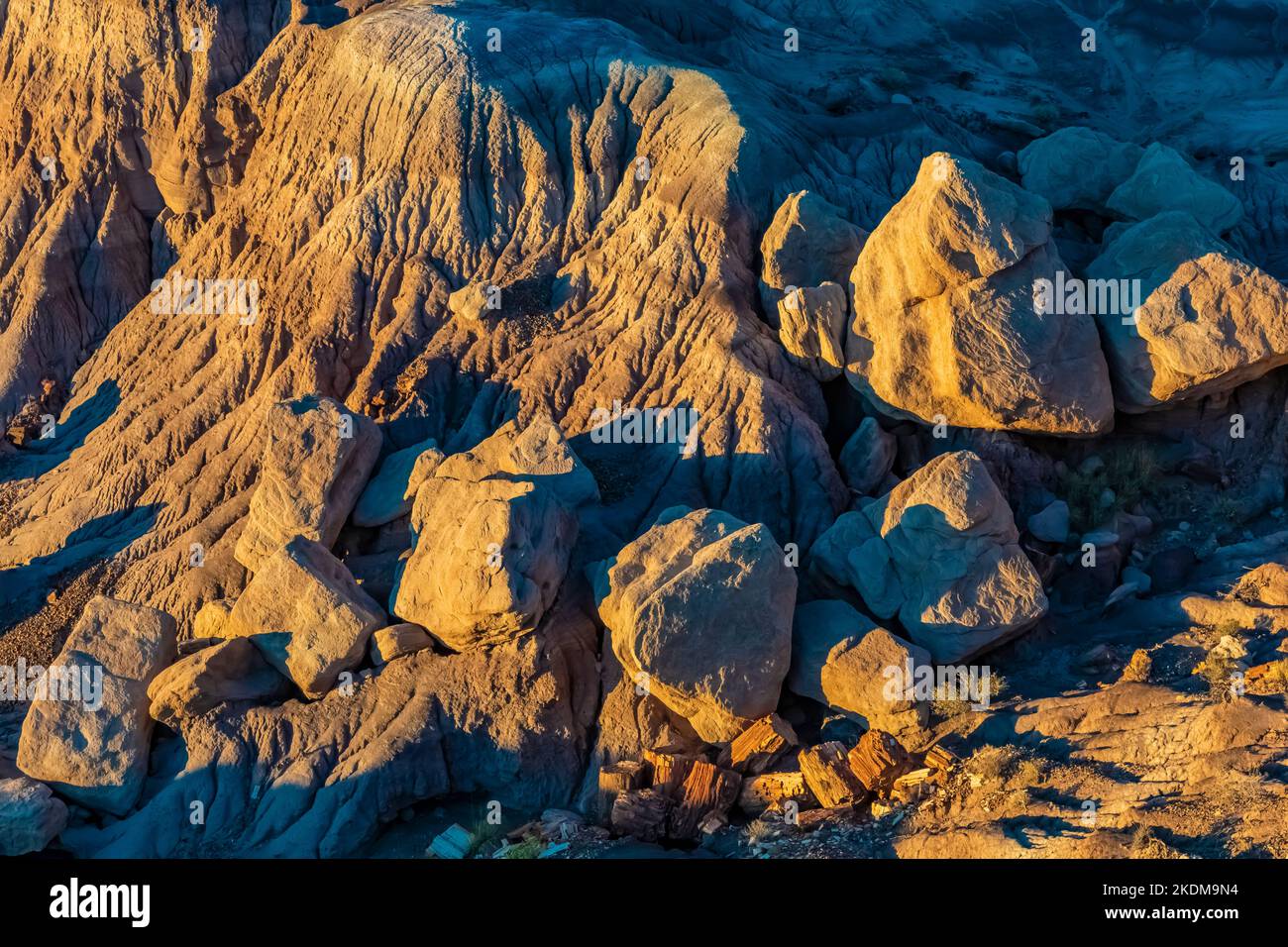 View from overlook of Jasper Forest in Petrified Forest National Park ...