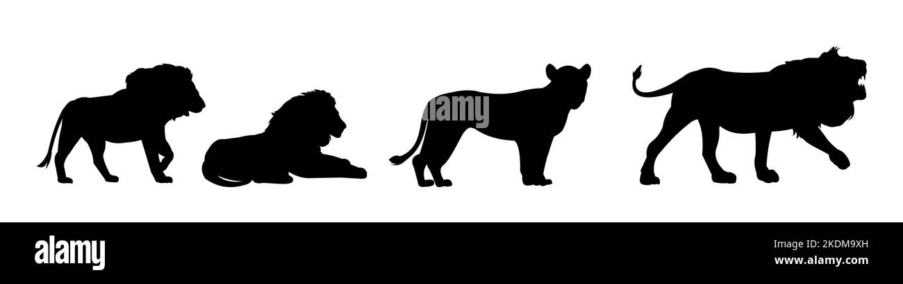 Lions set. African savanna predator. Silhouette picture. Dangerous ...