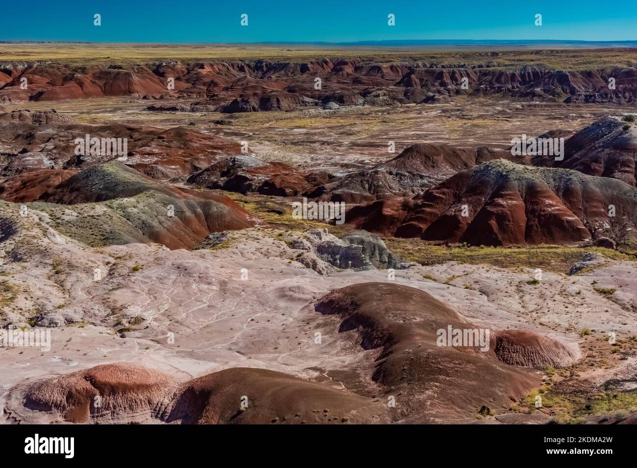 Giant Logs Trail in Petrified Forest National Park, Arizona, USA Stock ...