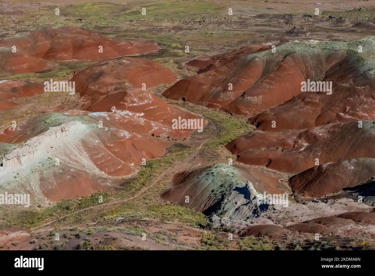 Giant Logs Trail in Petrified Forest National Park, Arizona, USA Stock ...