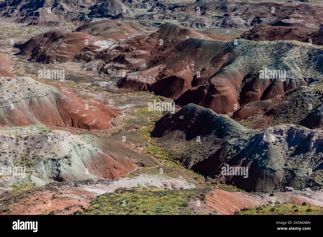 Giant Logs Trail in Petrified Forest National Park, Arizona, USA Stock ...