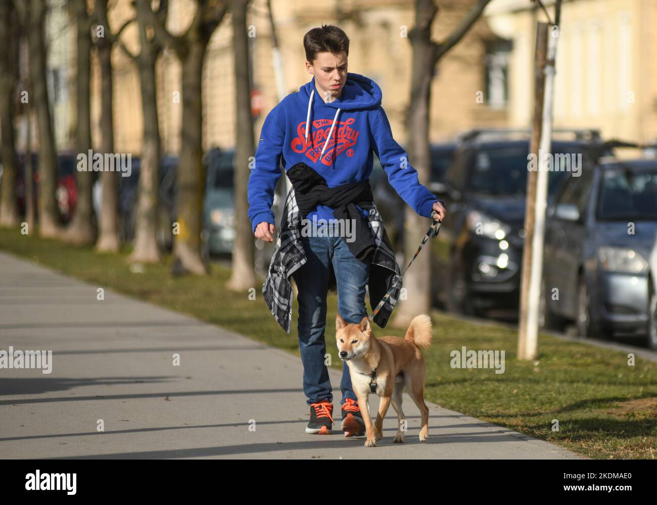 Young man walking his dog in King Tomislav Square (Trg Kralja Tomislava ...