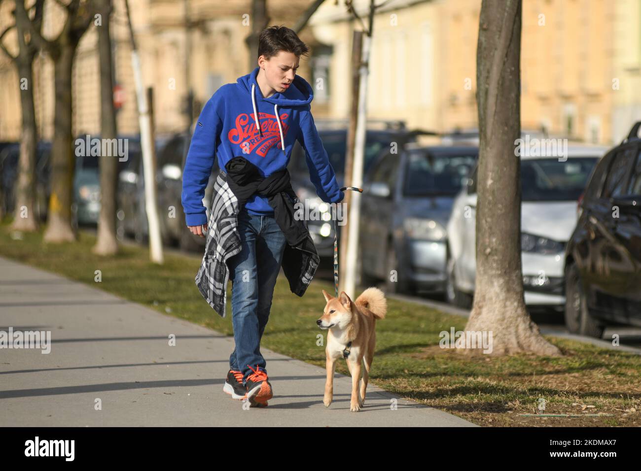 Young man walking his dog in King Tomislav Square (Trg Kralja Tomislava ...
